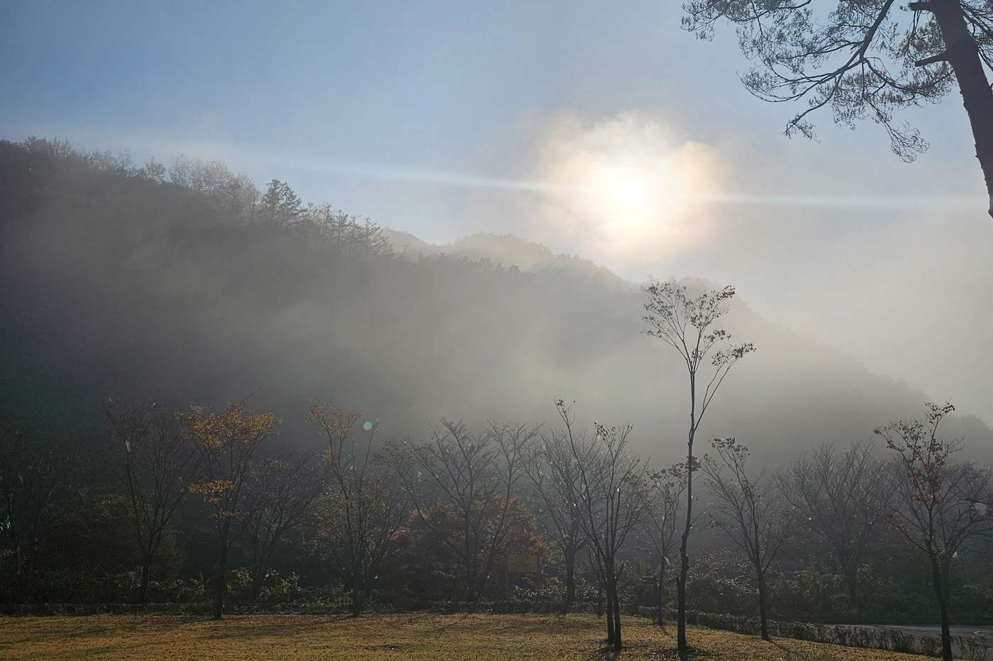 어머니의 빛 - Elohist