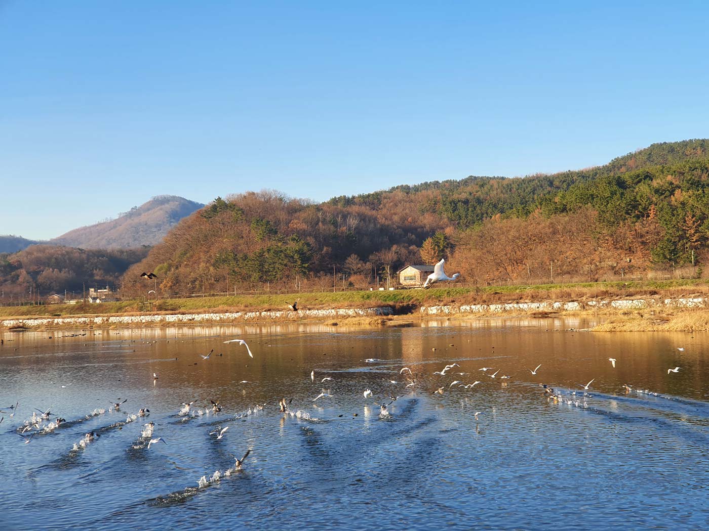 함께 날아올라서 - Elohist