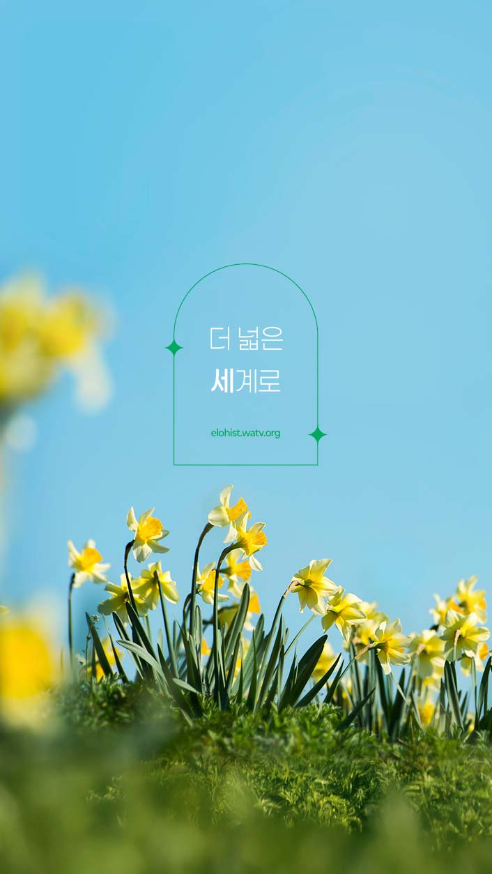 더 넓은 세계로 - Elohist